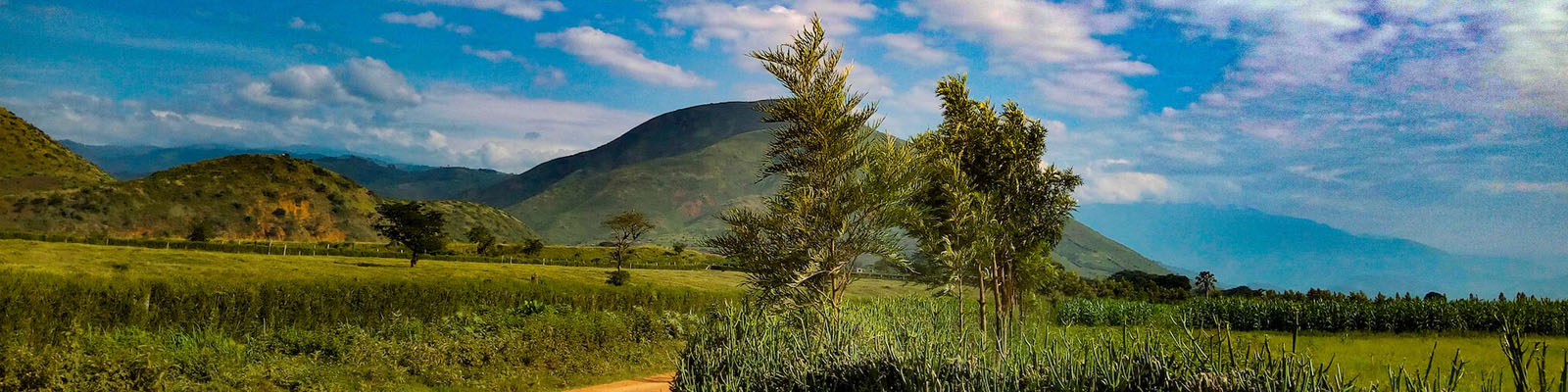 Uganda Visas & Permits: Applications & Requirements: IBN