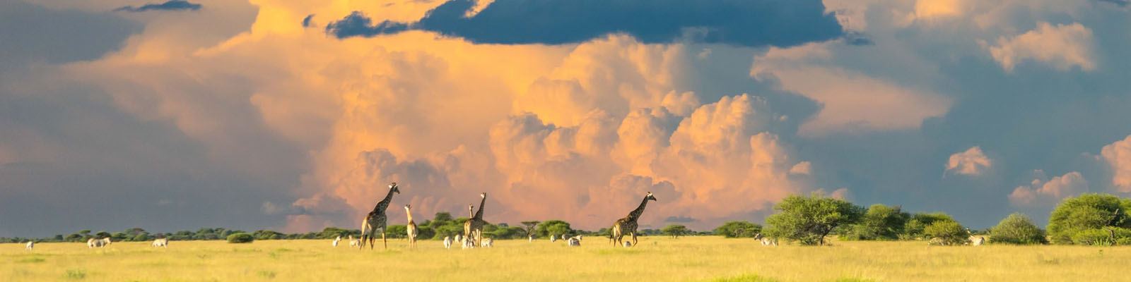 Botswana Visas & Permits: Applications & Requirements: IBN