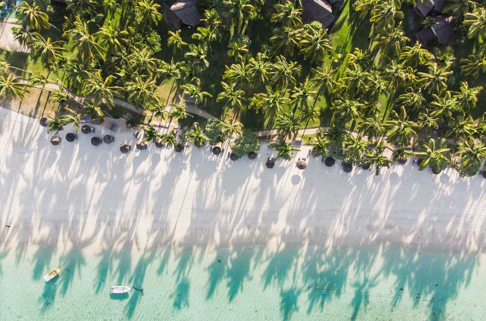 What Are The Different Types of Mauritius Work Visas and Permits?